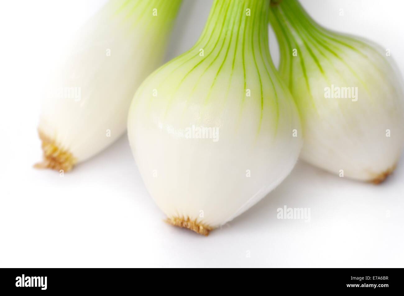Giant onions hi-res stock photography and images - Alamy
