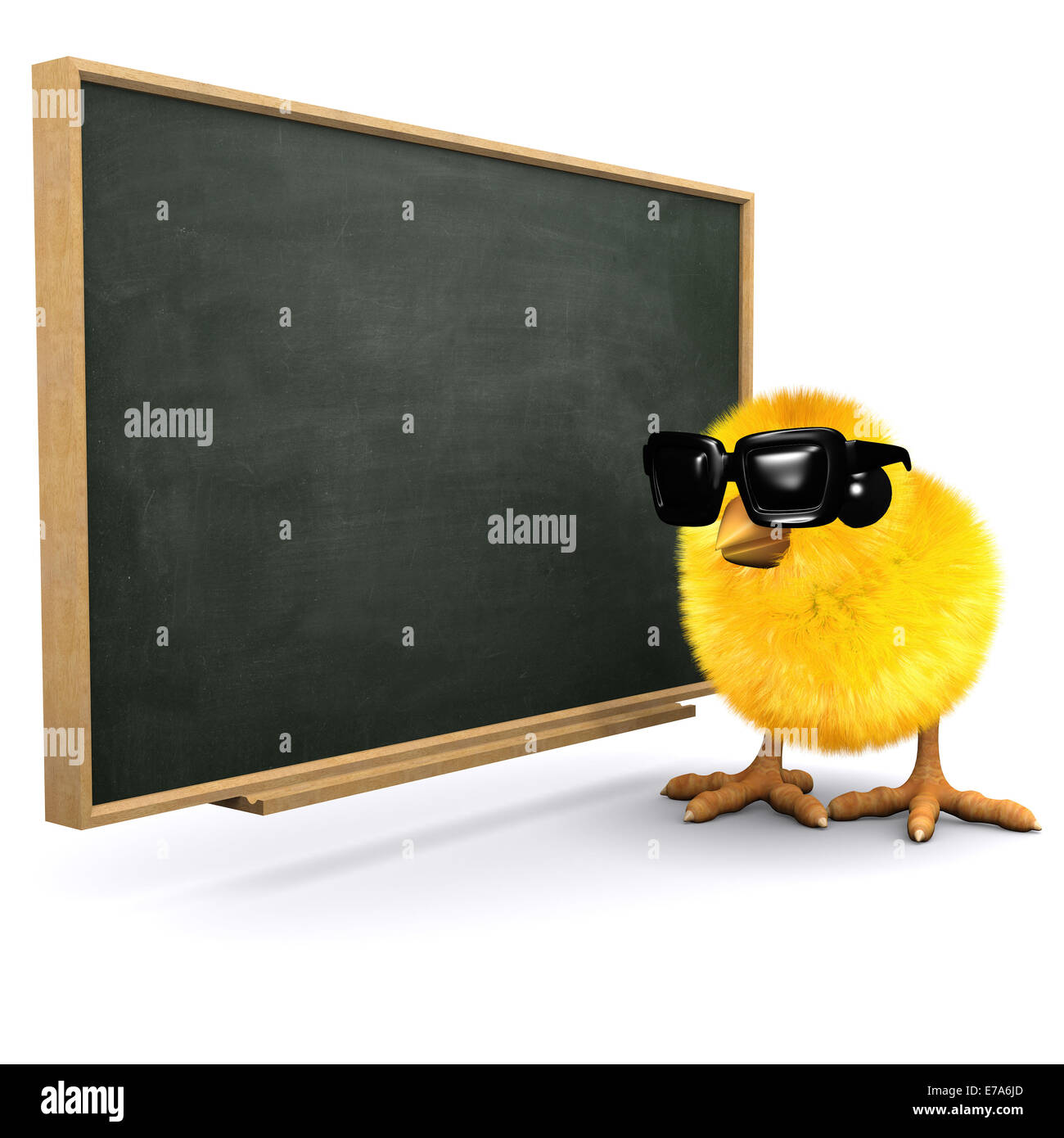 3d render of a baby chick stood next to a chalkboard Stock Photo - Alamy