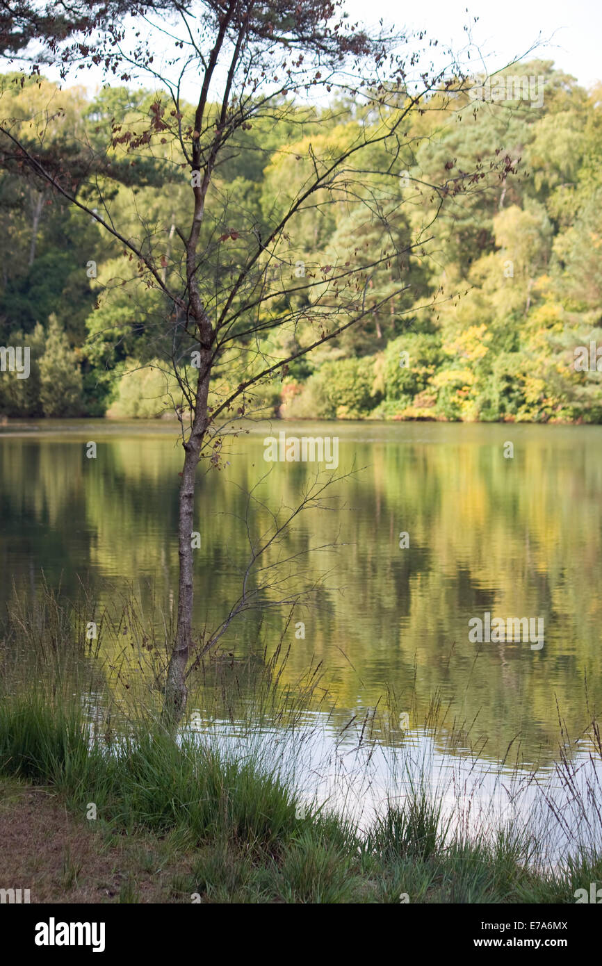 Pool pit hi-res stock photography and images - Alamy
