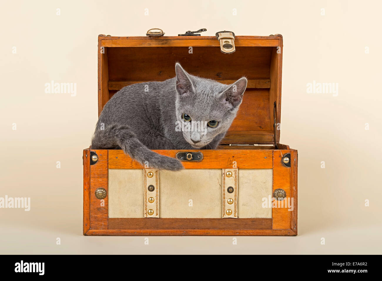 Chest single view hi-res stock photography and images - Alamy