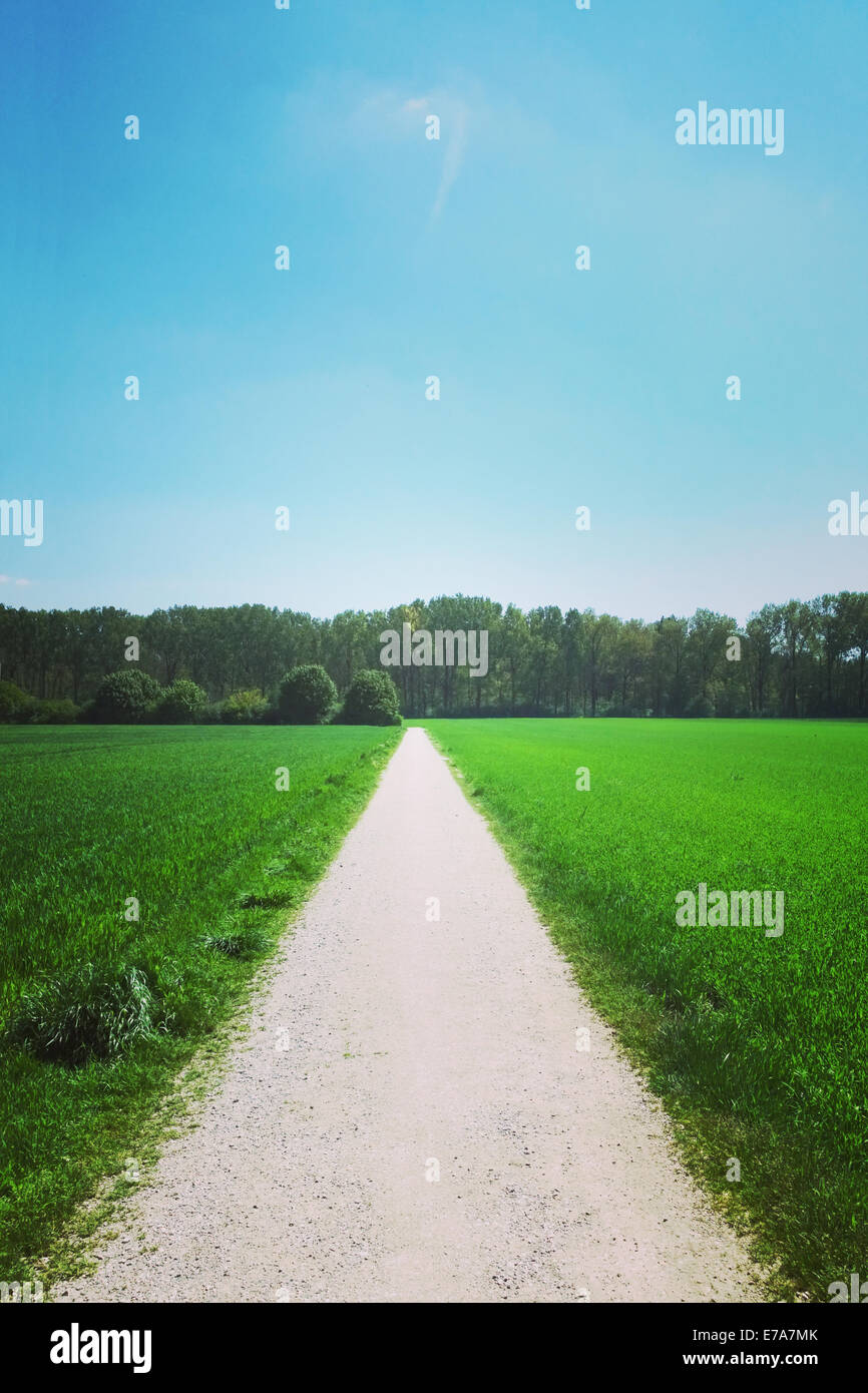 straight path through fields. Instagram-like vintage effect added Stock ...