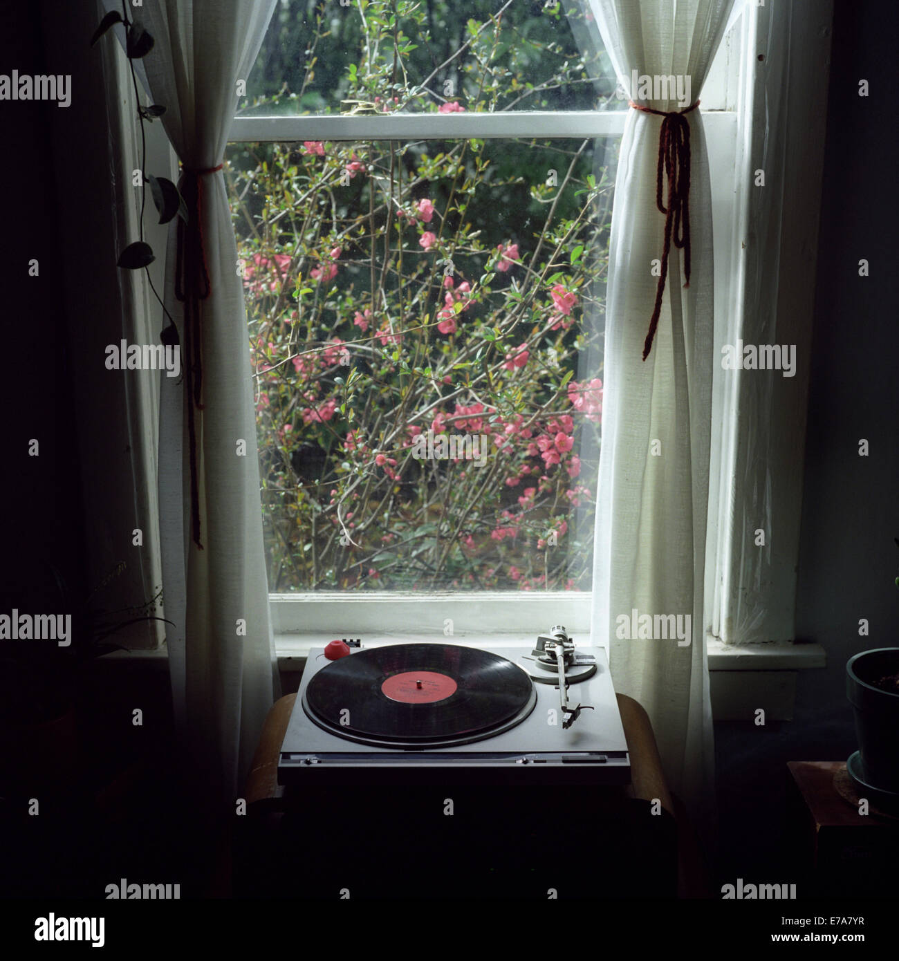 A record player in front of a window Stock Photo - Alamy
