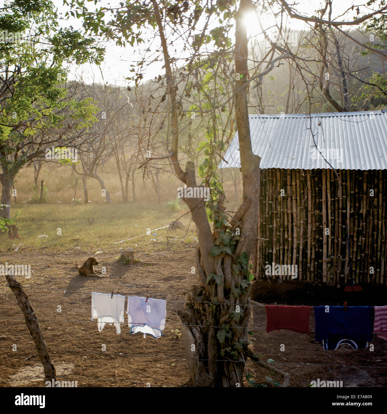 View of a back yard Stock Photo - Alamy