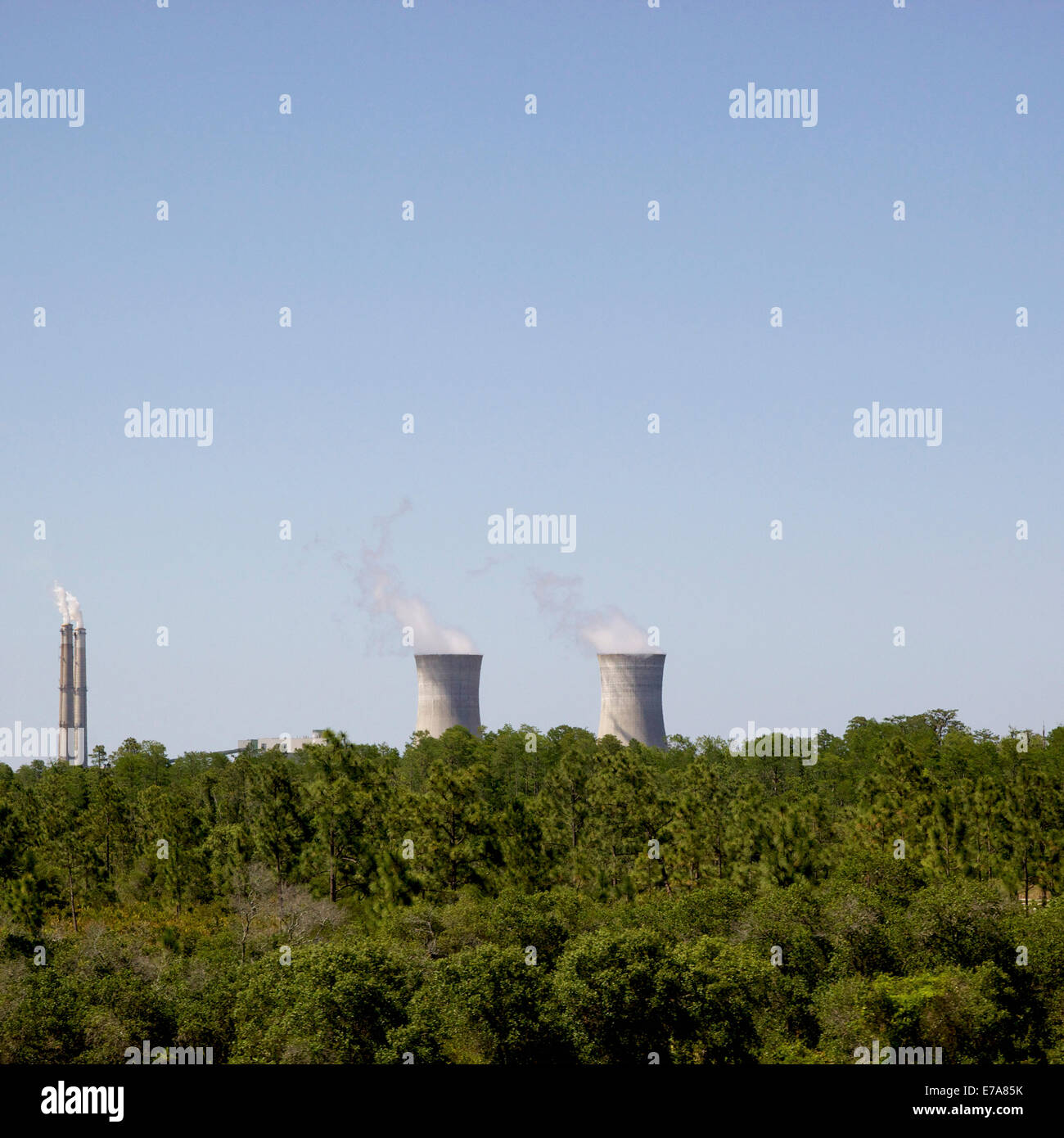 A nuclear power station in distance, forest in foreground Stock Photo ...