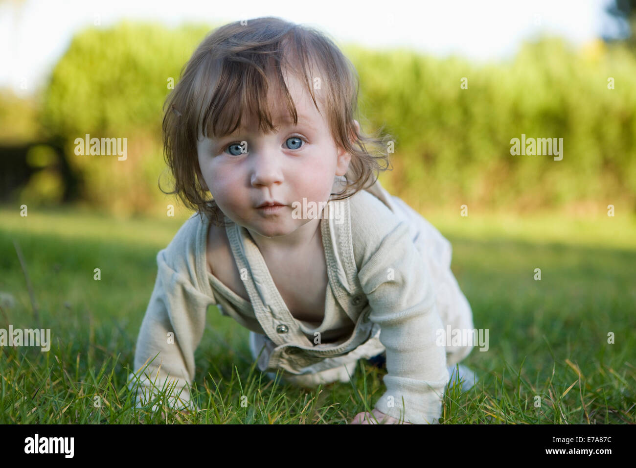 Baby girl crawling in grass, looking at camera Stock Photo - Alamy