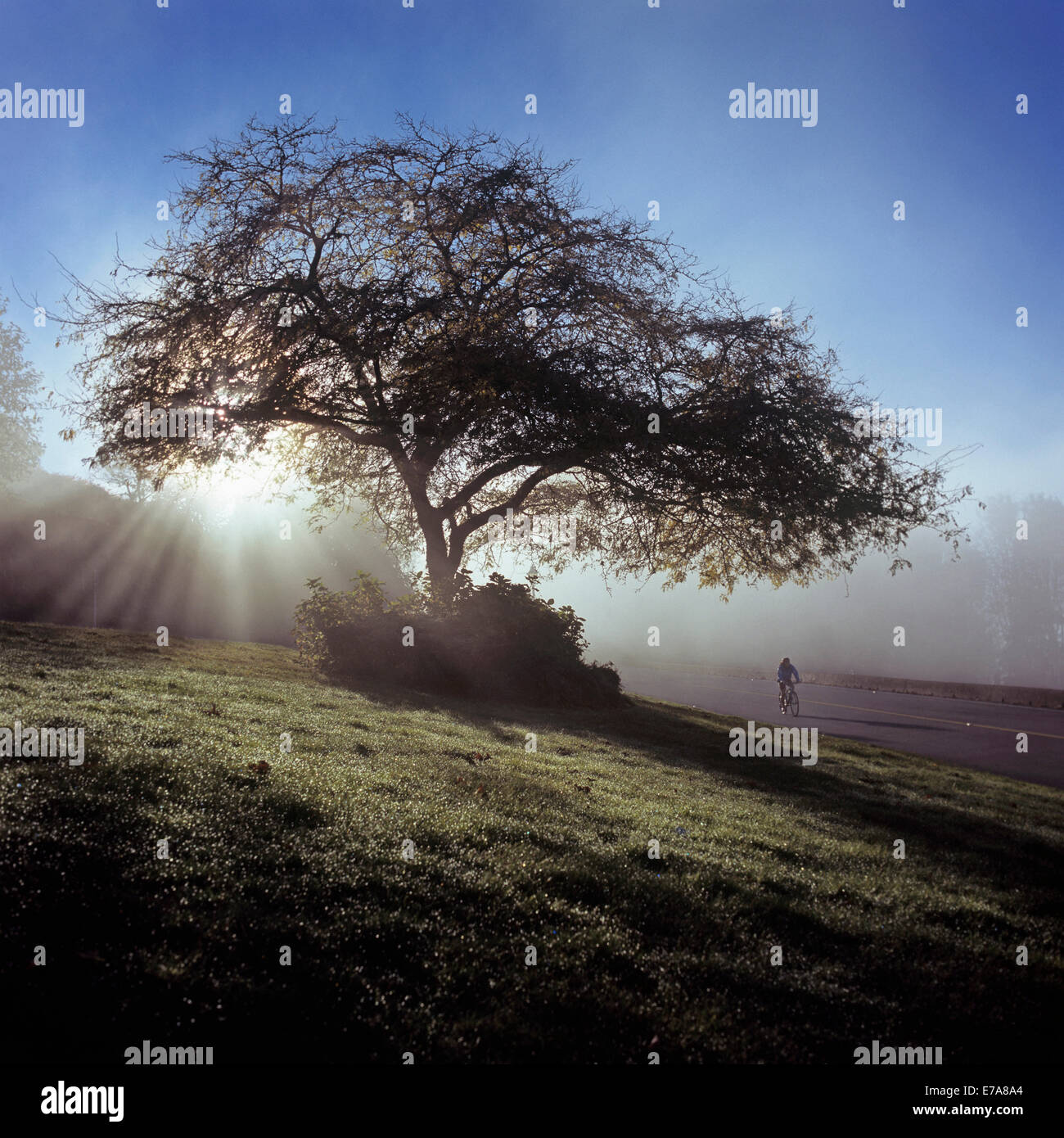 One most scenic hi-res stock photography and images - Alamy