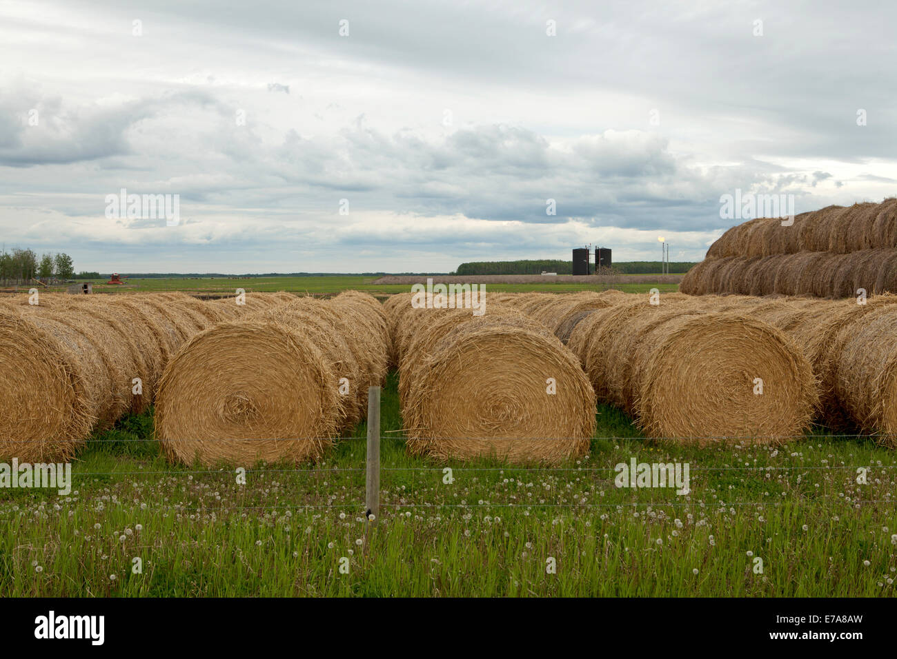 Alberta oil pollution hi-res stock photography and images - Alamy