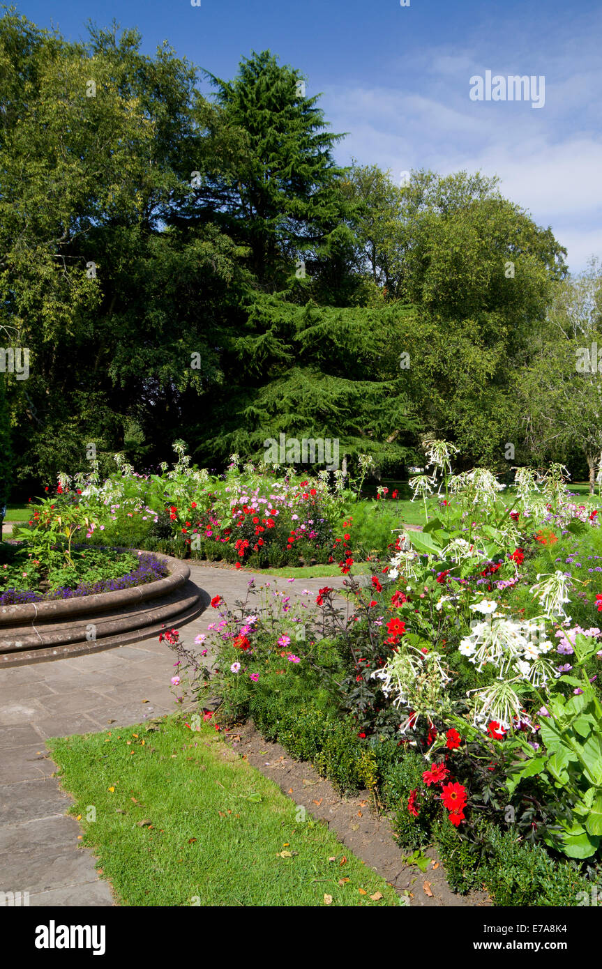 Bute park arboretum hi-res stock photography and images - Alamy