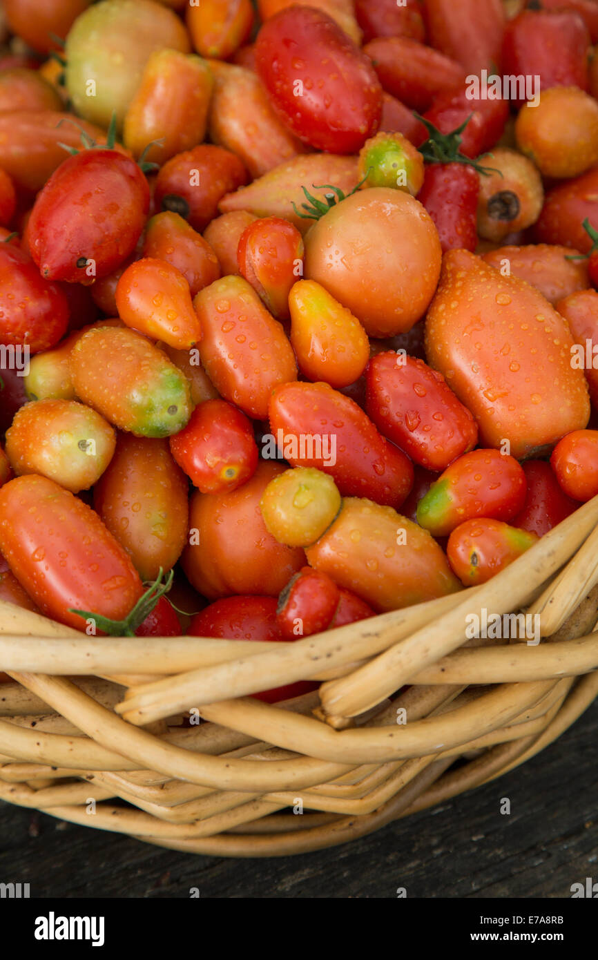 Fresh organic tomatoes close up hi-res stock photography and images - Alamy