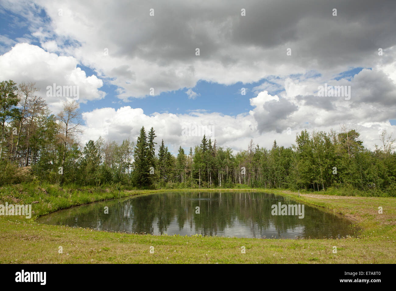 Boreal forest landscape with lake, Alberta, Canada Stock Photo - Alamy