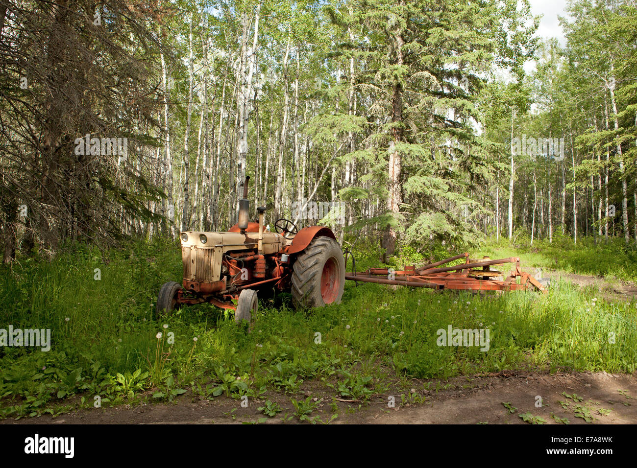 Abandoned vintage tractor in boreal forest, northern Alberta, Canada ...