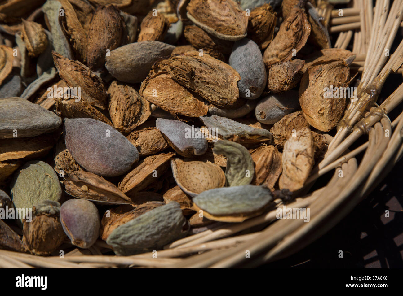 Close-up of fruit pits in basket Stock Photo - Alamy