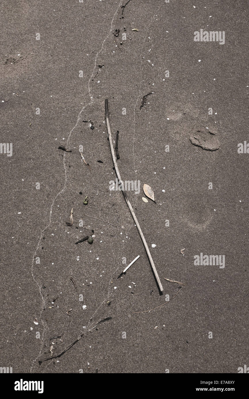 Twig vertical hi-res stock photography and images - Alamy