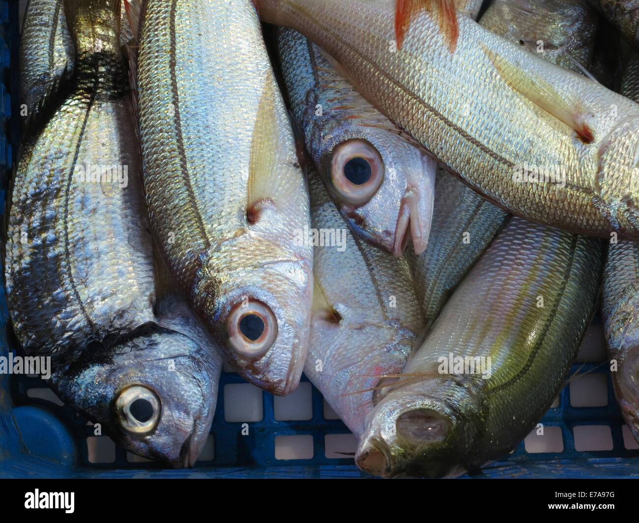 Kefolonia hi-res stock photography and images - Alamy