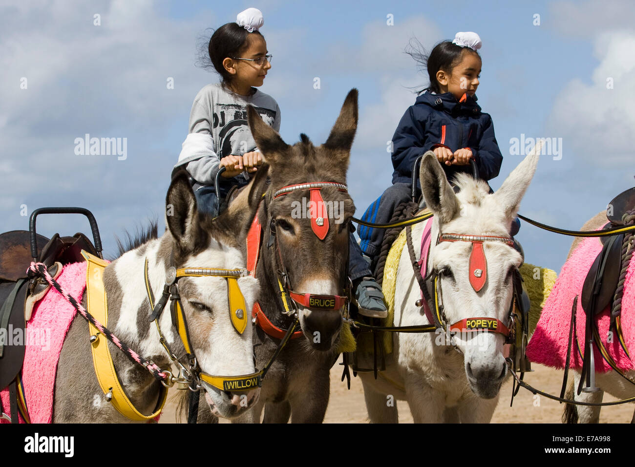 Asian family riding Donkey"s on the beach traditional English seaside ...