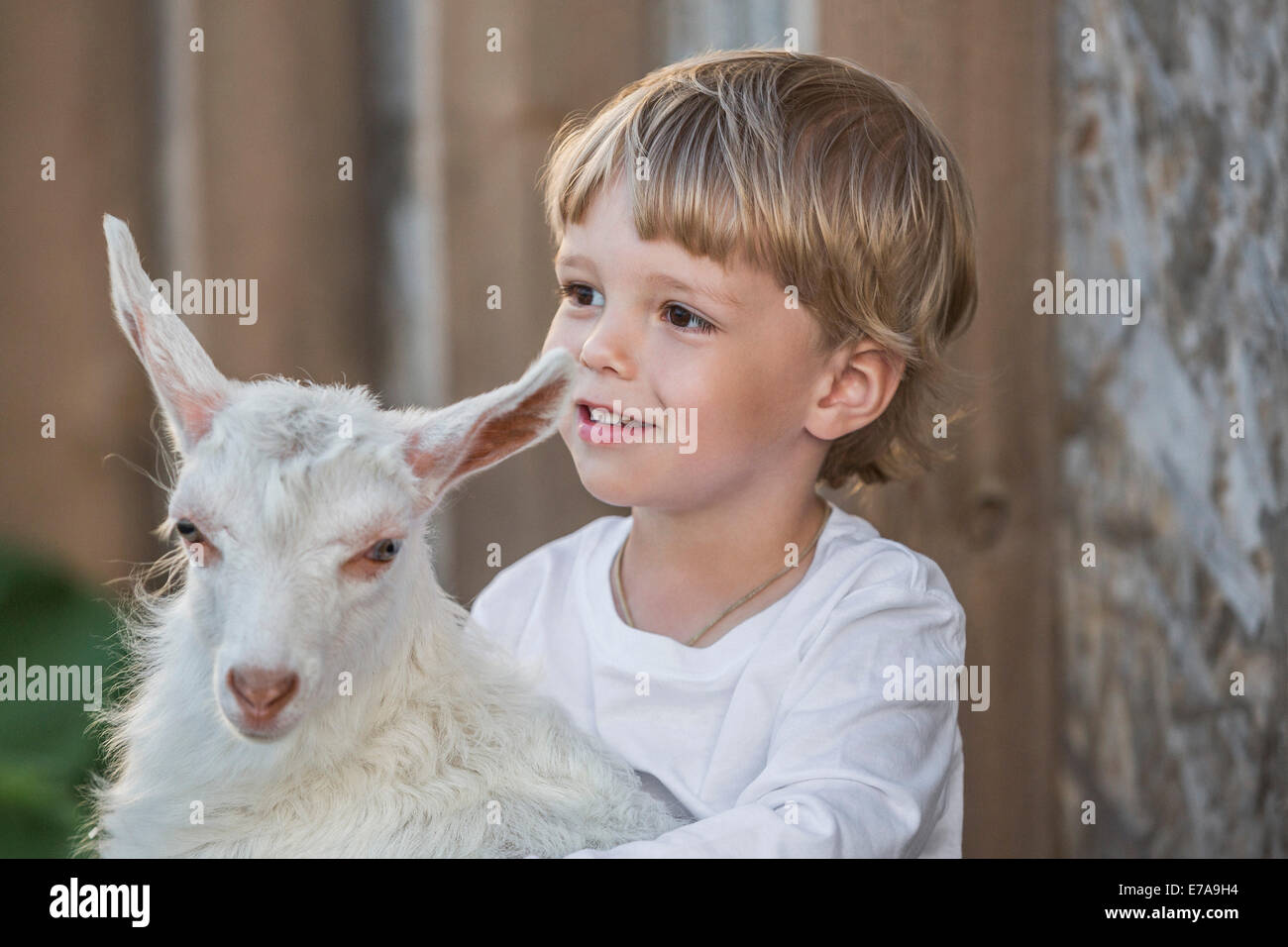 Cute little boy with baby goat outdoors Stock Photo - Alamy