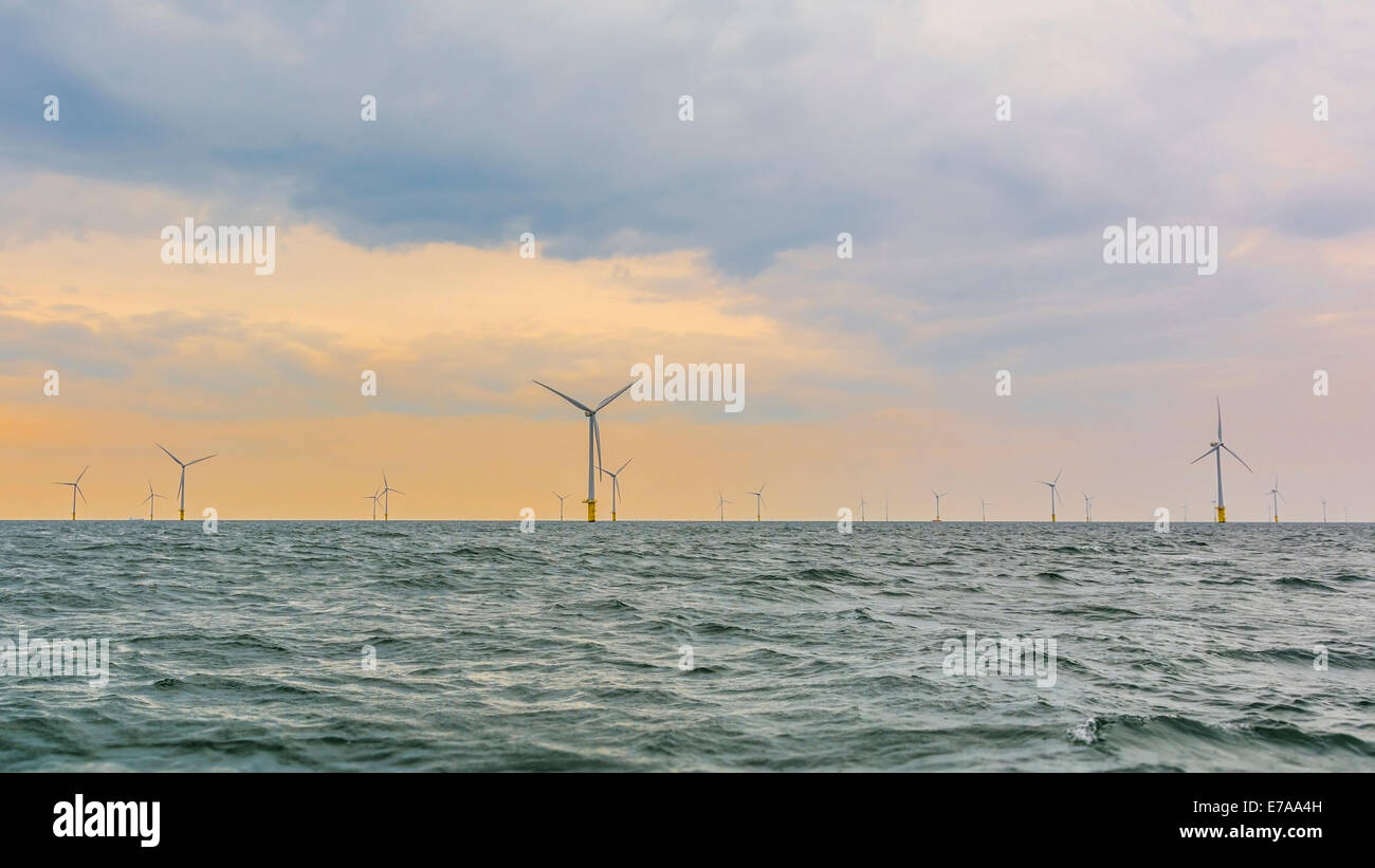 Offshore wind power plant hi-res stock photography and images - Alamy
