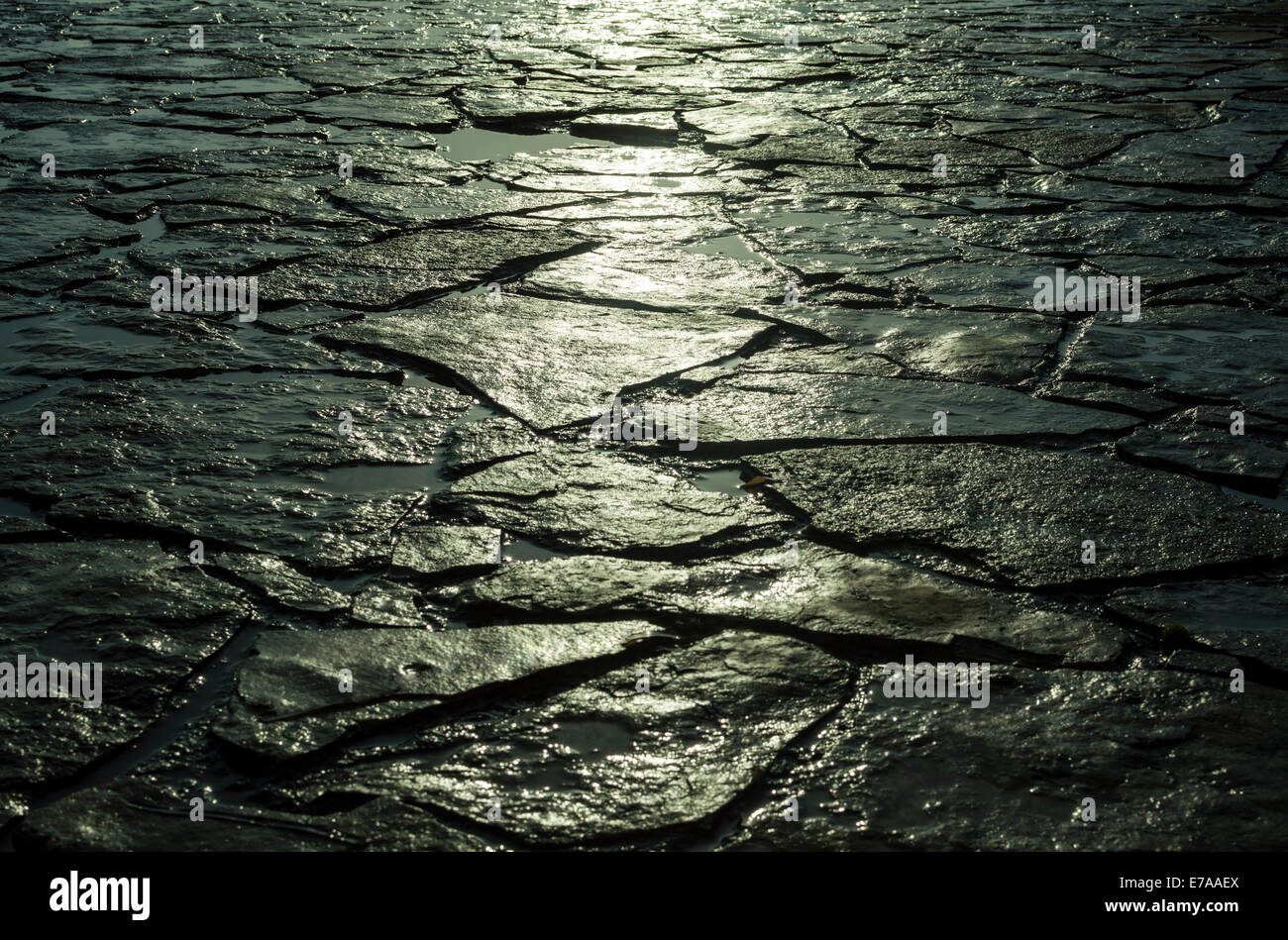 Wet texture hi-res stock photography and images - Alamy