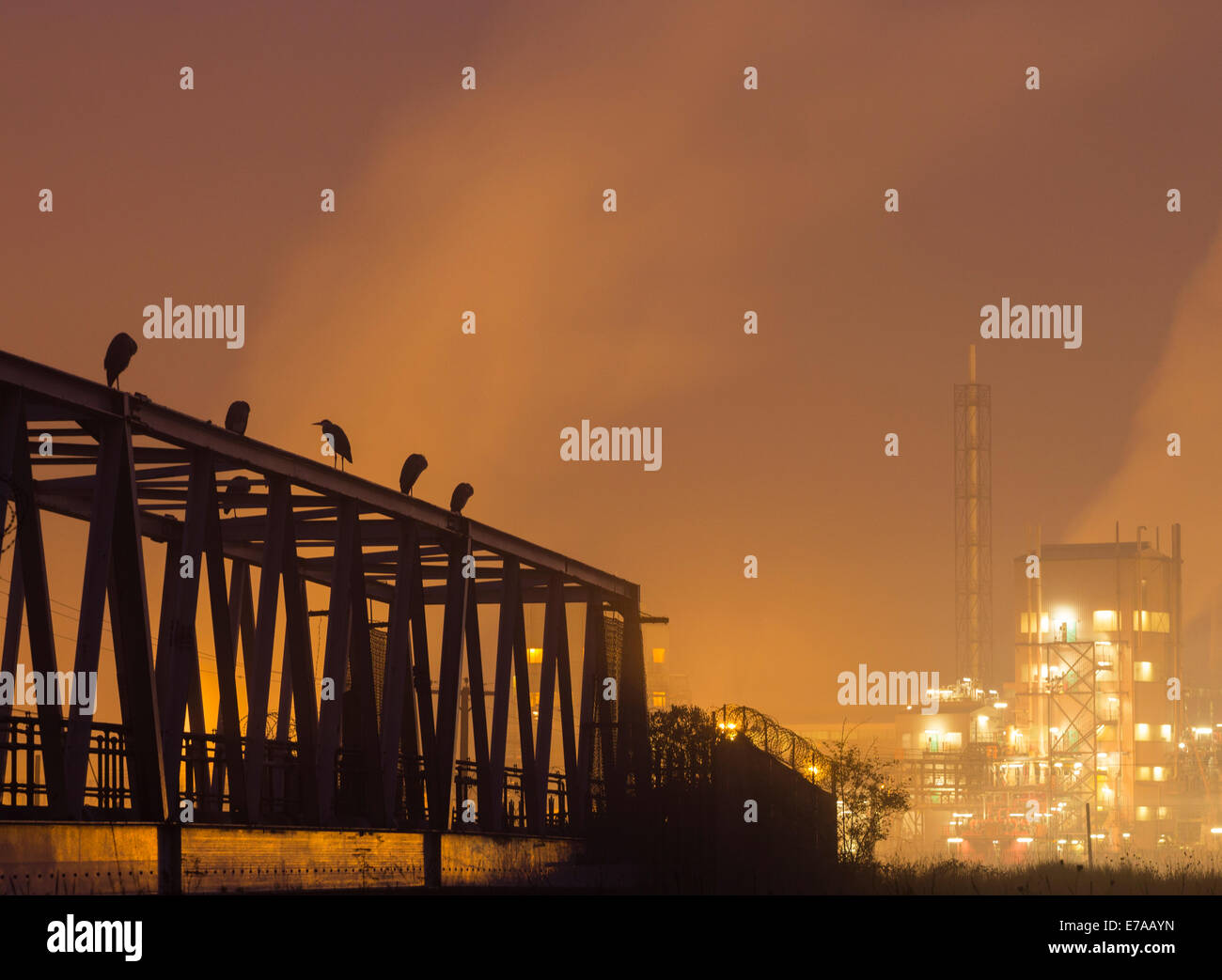 Teesmouth National Nature Reserve near Hartlepool, United Kingdom ...