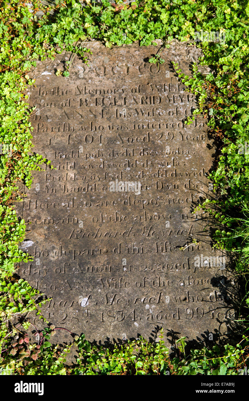 Meyrick High Resolution Stock Photography and Images - Alamy