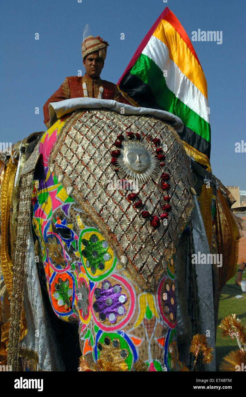 An Ornately decorated Elephant at the Jaipur Elephant Festival of 2009 ...