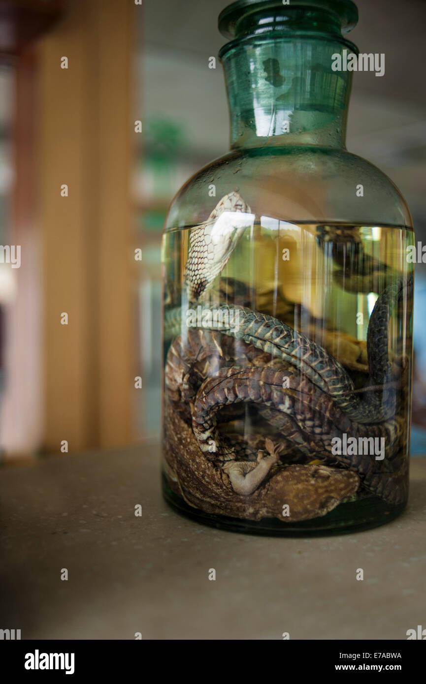 Pickled snake hi-res stock photography and images - Alamy