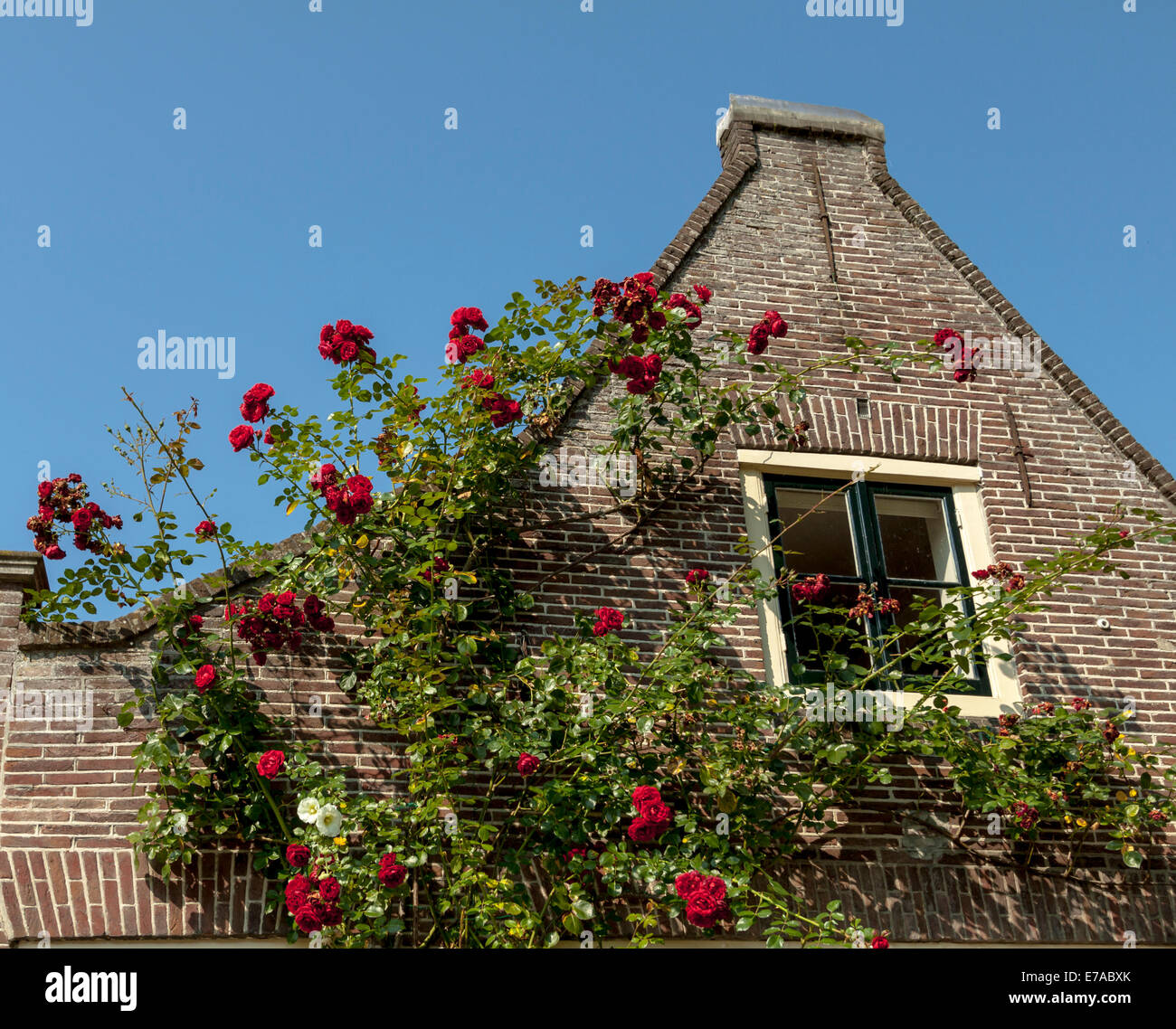 Windowsstructure hi-res stock photography and images - Alamy