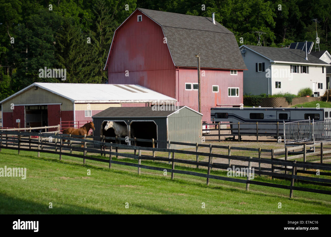 Stuart farm hi-res stock photography and images - Alamy