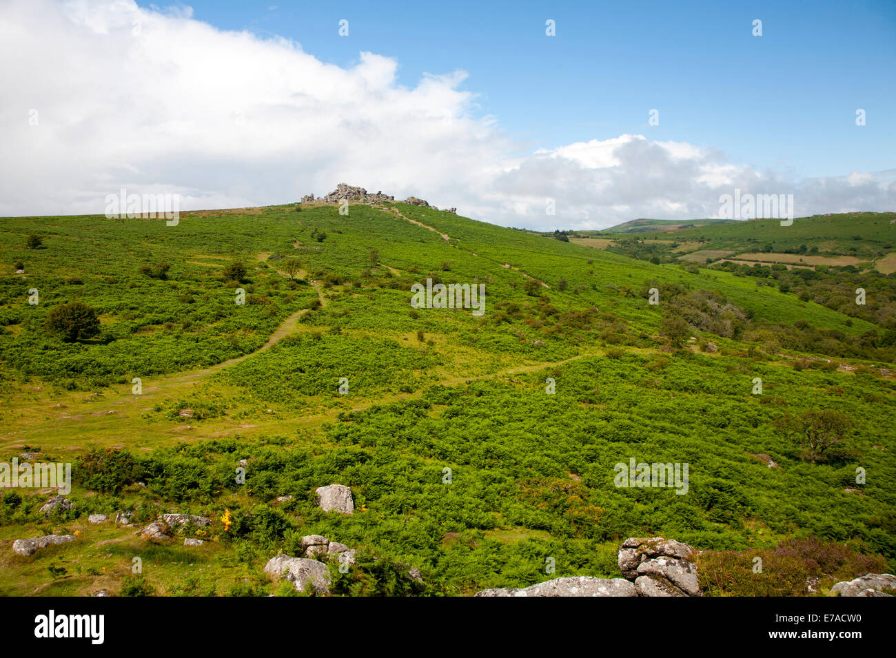 Granite upland landscape Hound Tor, Dartmoor national park, Devon ...