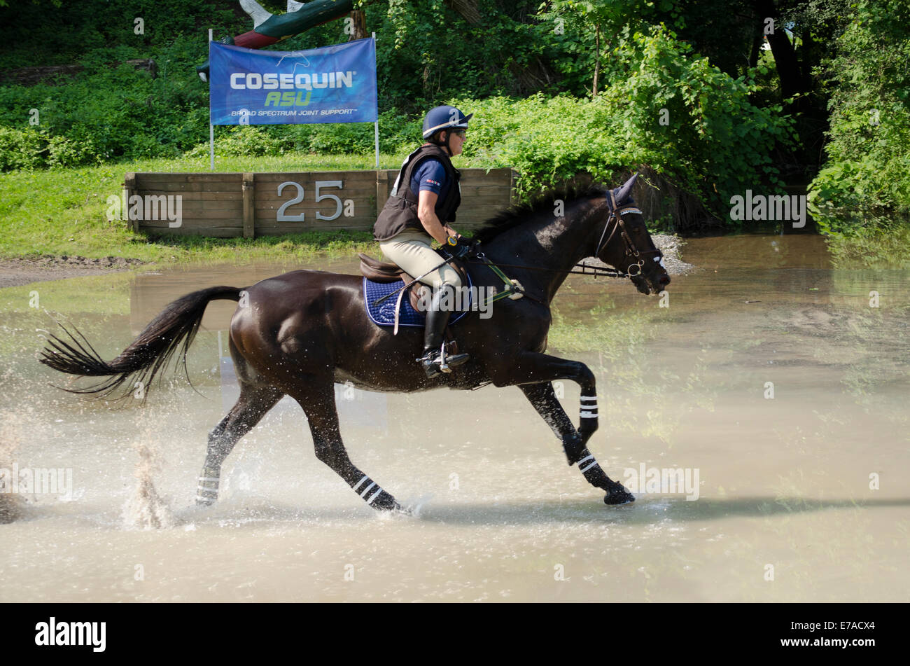 Horse and rider compete in Stuart Horse trials Stock Photo - Alamy