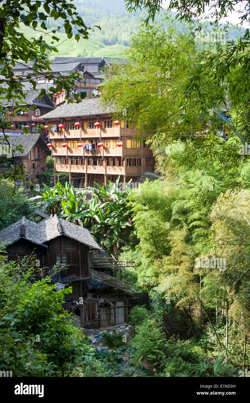 Dragon's backbone hi-res stock photography and images - Alamy