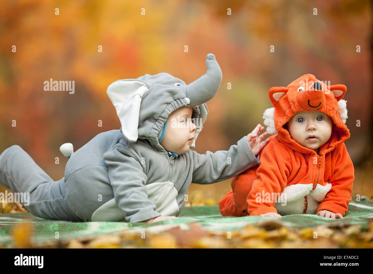 Baby dressed as elephant hi-res stock photography and images - Alamy