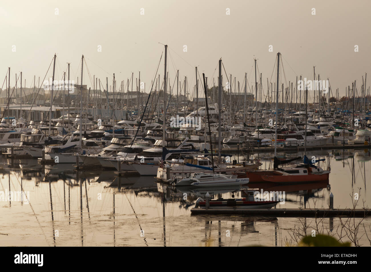Boats moored at Blaine Marina Park, Drayton Harbor Stock Photo - Alamy