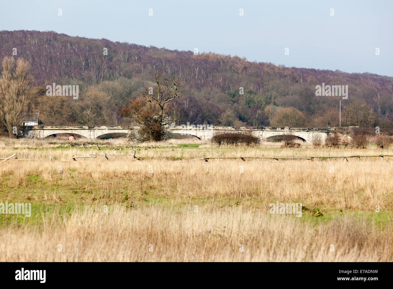 Looking towards Hopwas Woods in Staffordshire Stock Photo - Alamy