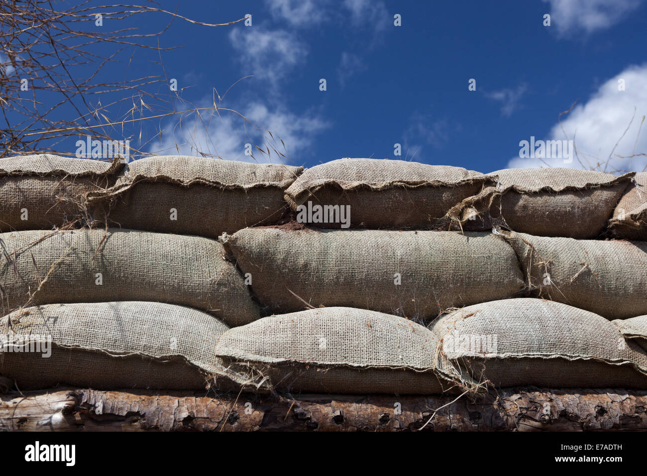 A view from inside replica First World War trenches at Whittington in ...