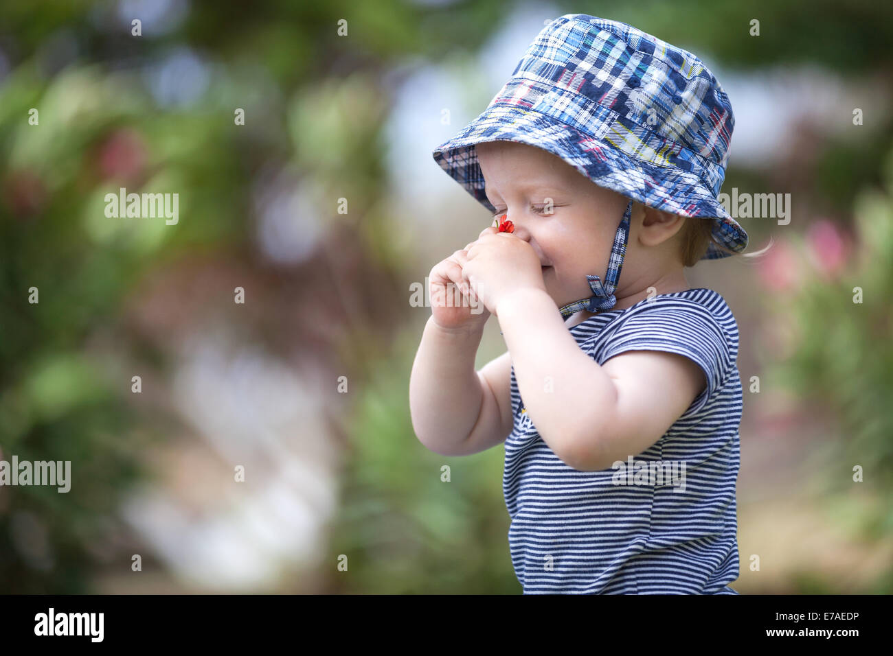 Boy smelling flower hi-res stock photography and images - Alamy