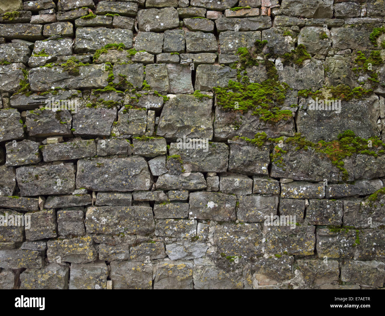 Detail of traditionally built stone wall from Istria, Croatia Stock ...