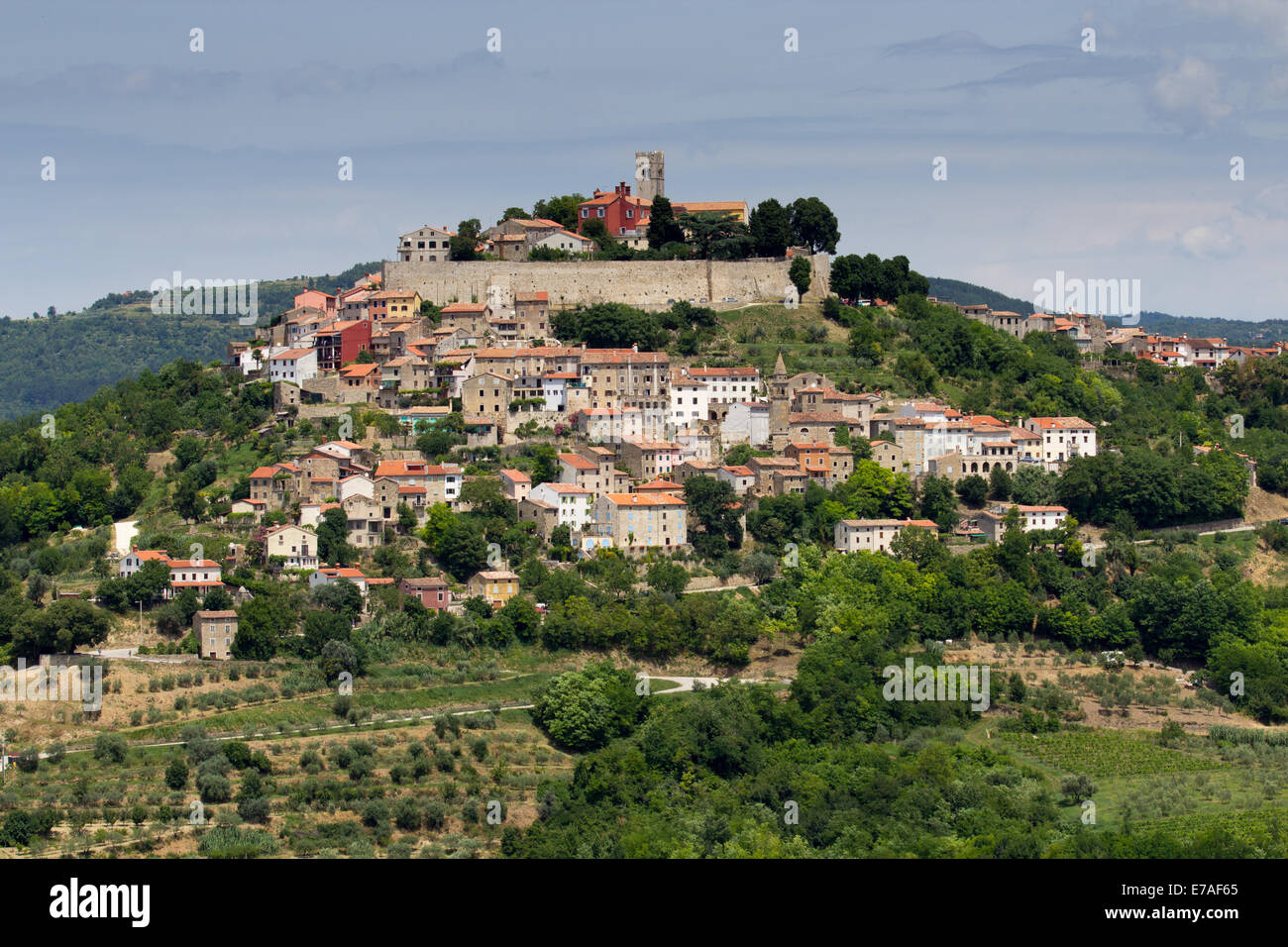 Medieval Croatian town of Motovun Stock Photo - Alamy