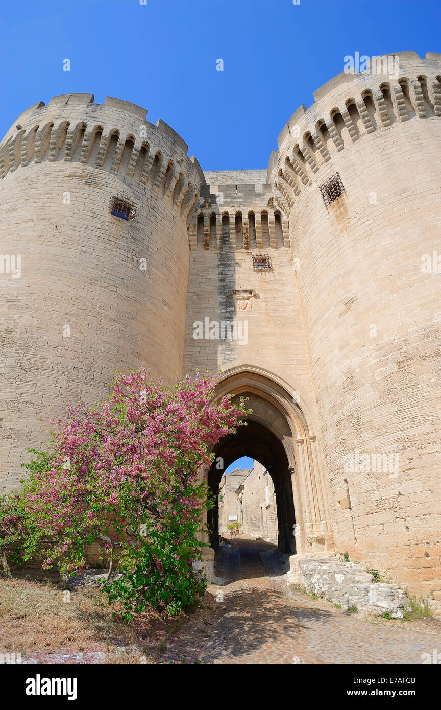 Gate of Fort Saint-André, Villeneuve-lès-Avignon, Gard, Languedoc ...