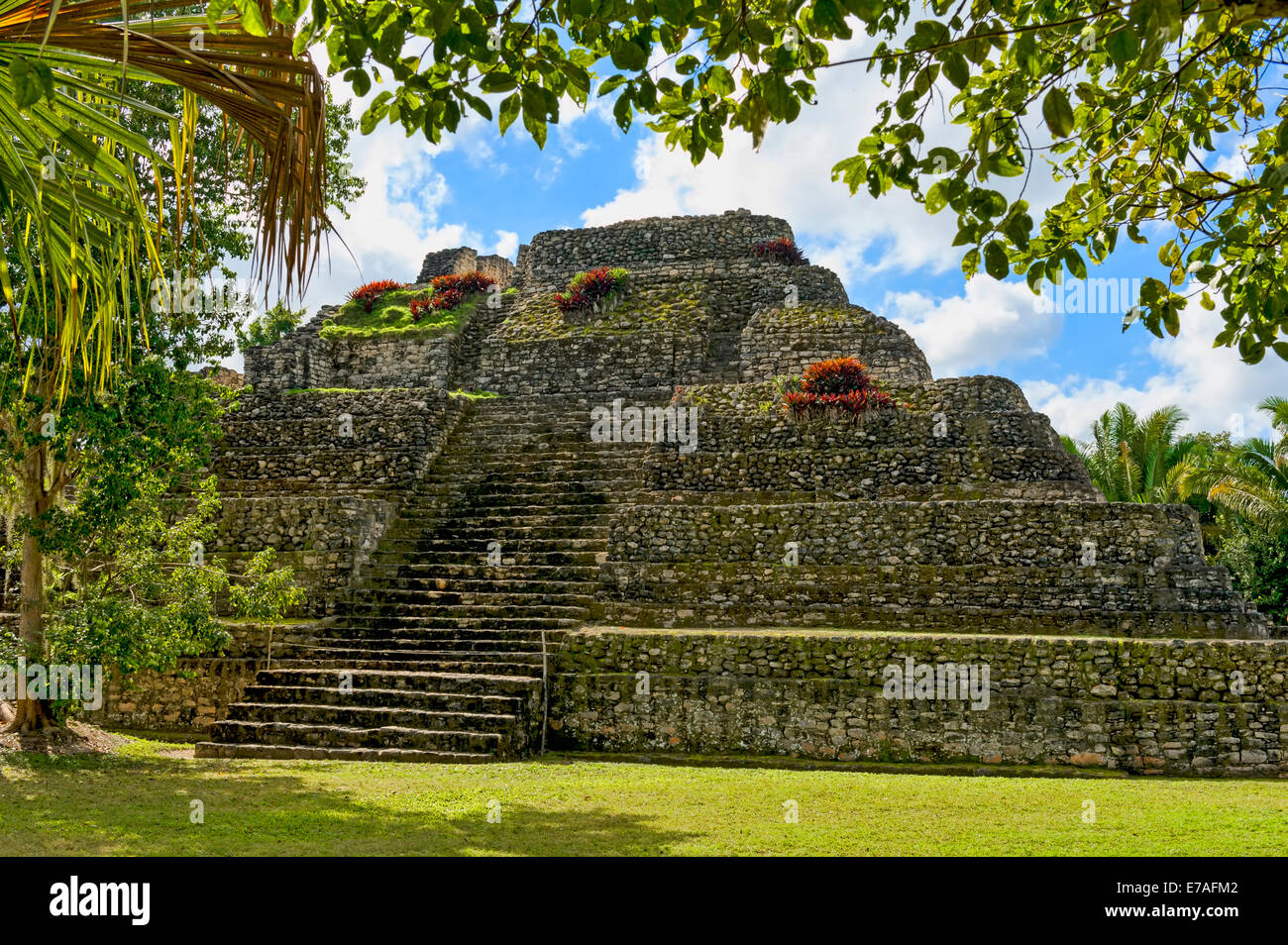 Mayan step pyramid, Chacchoben, Quintana Roo, Mexico Stock Photo - Alamy