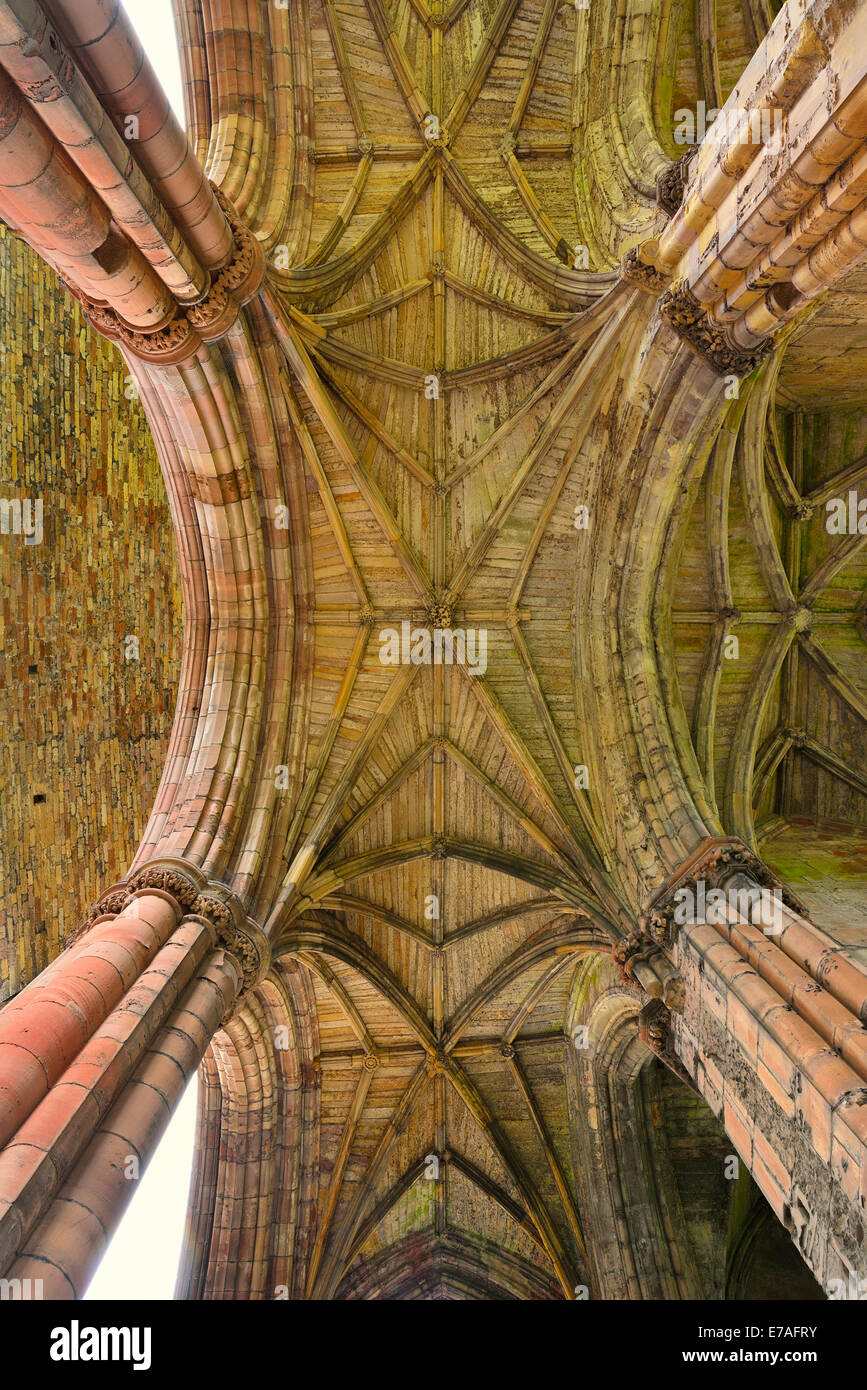 Ceiling vault in the ruins of the Cistercian monastery of Melrose Abbey ...