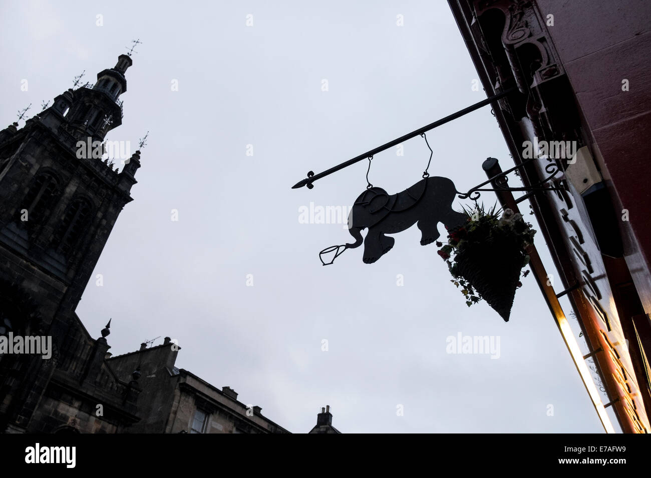 The sign of the Elephant House. Gourmet Tea & Coffee House and ...