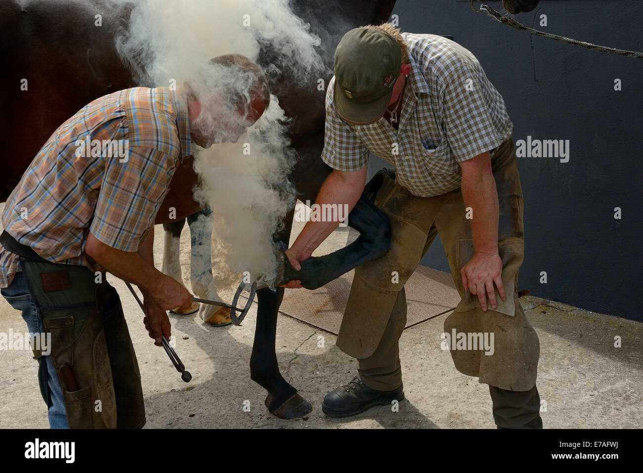 Farrier shoeing a horse, adjusting a hot horseshoe, Engelbach, Hesse ...