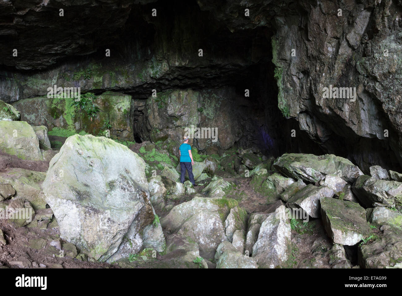 Person Exploring Victoria Cave Attemire Scar, Yorkshire Dales England ...