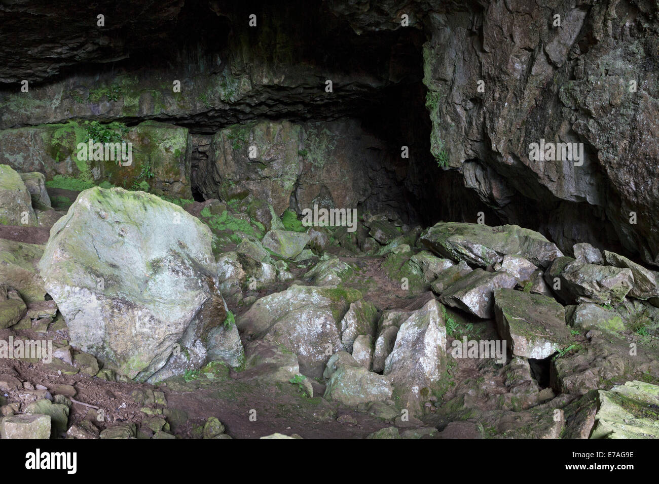 Victoria Cave Attemire Scar, Yorkshire Dales England Stock Photo - Alamy