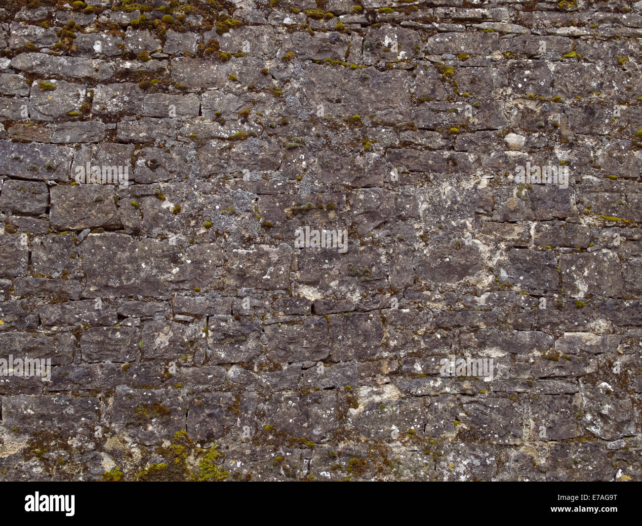 Detail of traditionally built stone wall from Istria, Croatia Stock ...