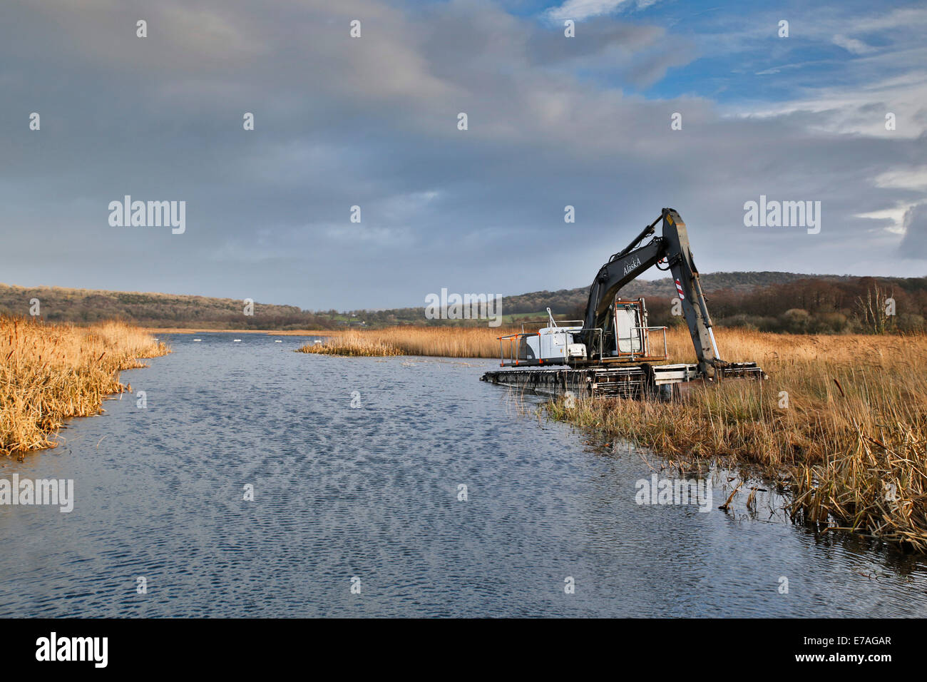Leighton moss hi-res stock photography and images - Alamy