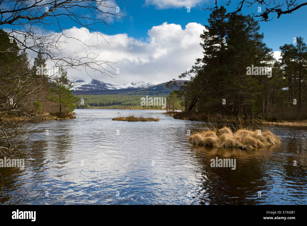 Loch Morlich; Cairngorms; Scotland Stock Photo - Alamy