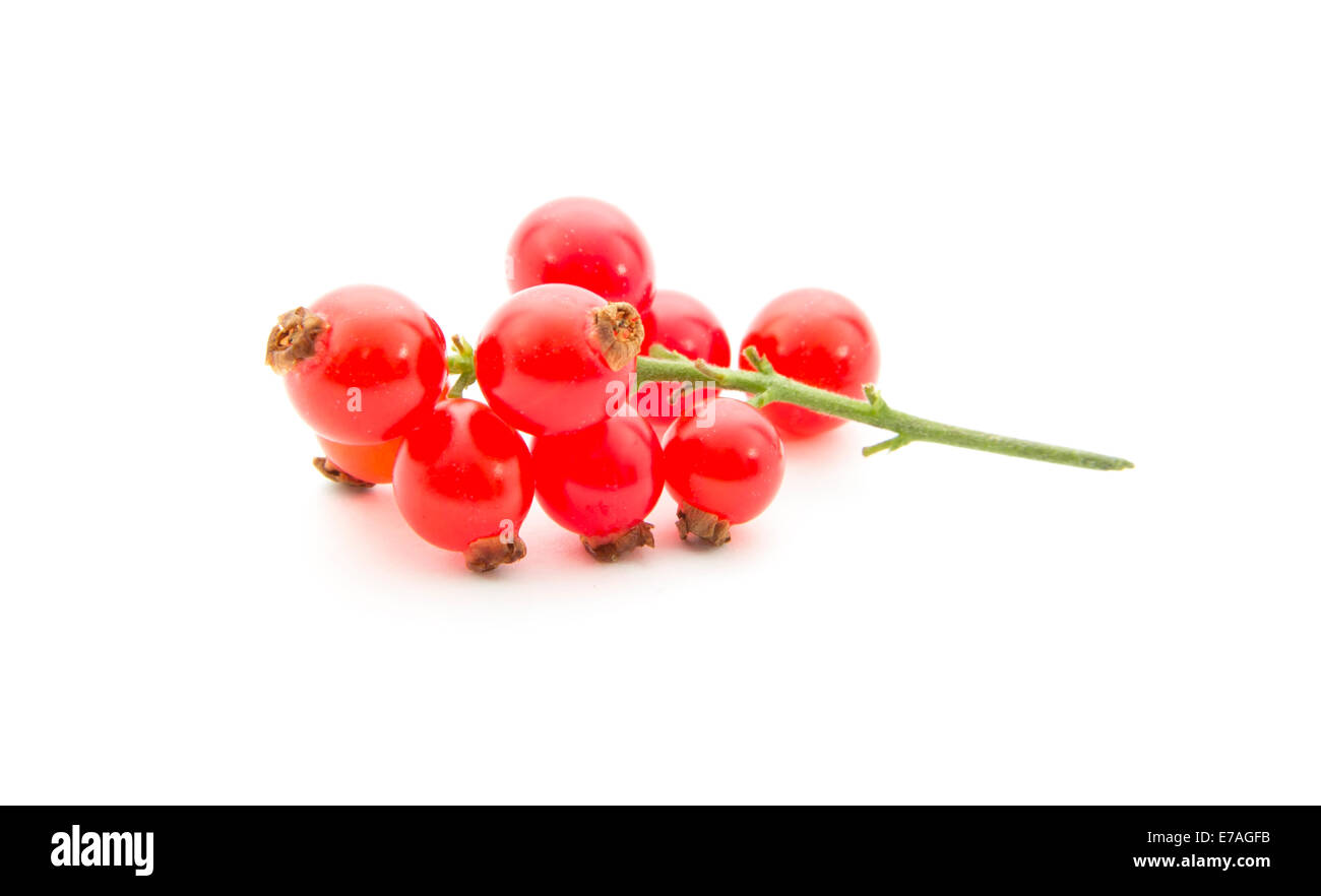 Red Currants Cluster High Resolution Stock Photography and Images - Alamy