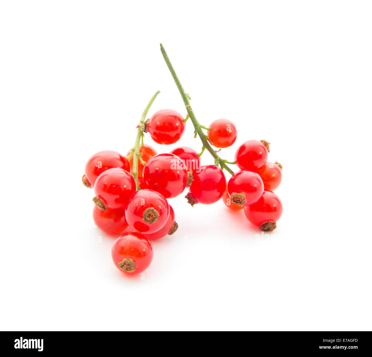 Red Currants Cluster High Resolution Stock Photography and Images - Alamy